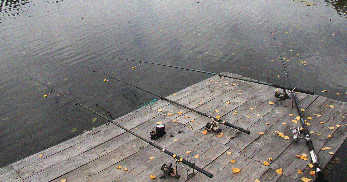 12 Best Telescopic Fishing Rods