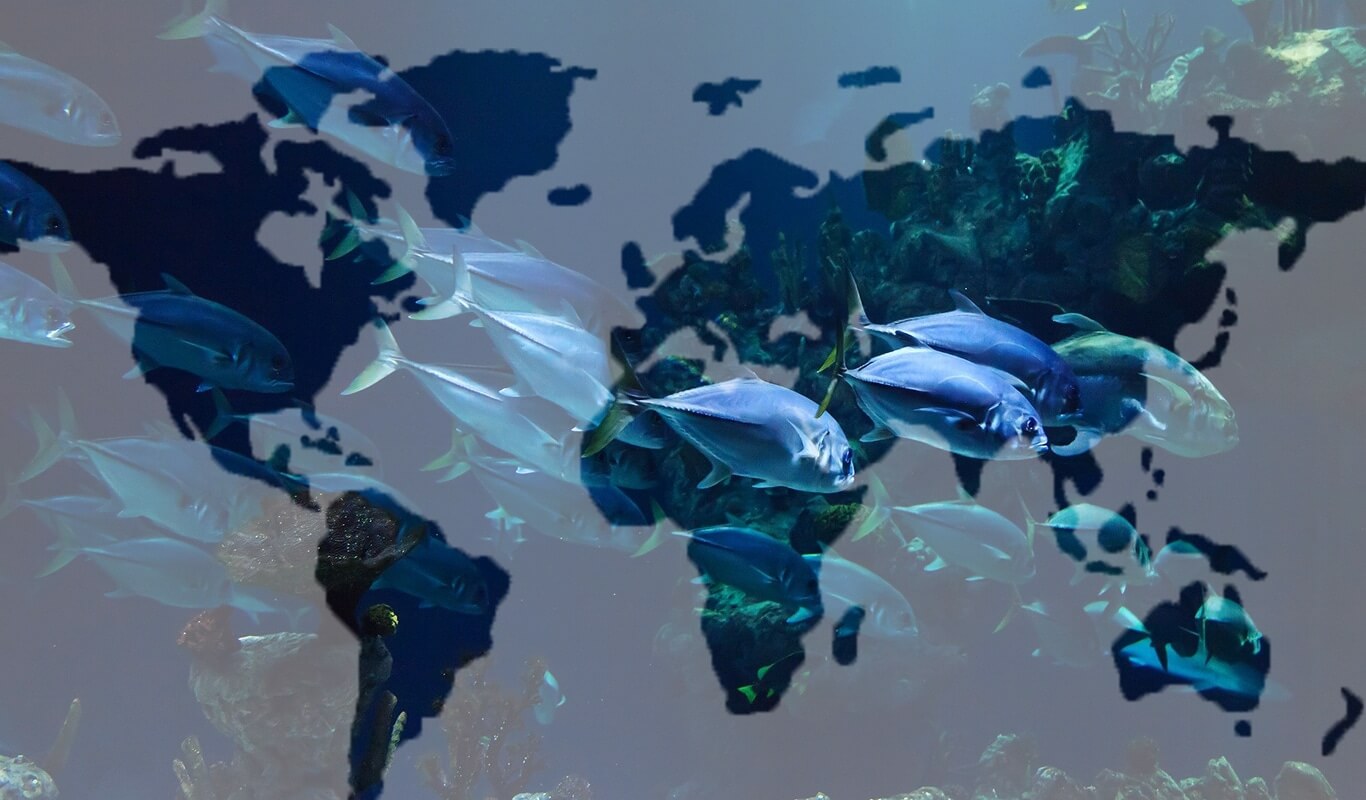 Overfishing, Conservation, Sustainability, and Farmed Fish