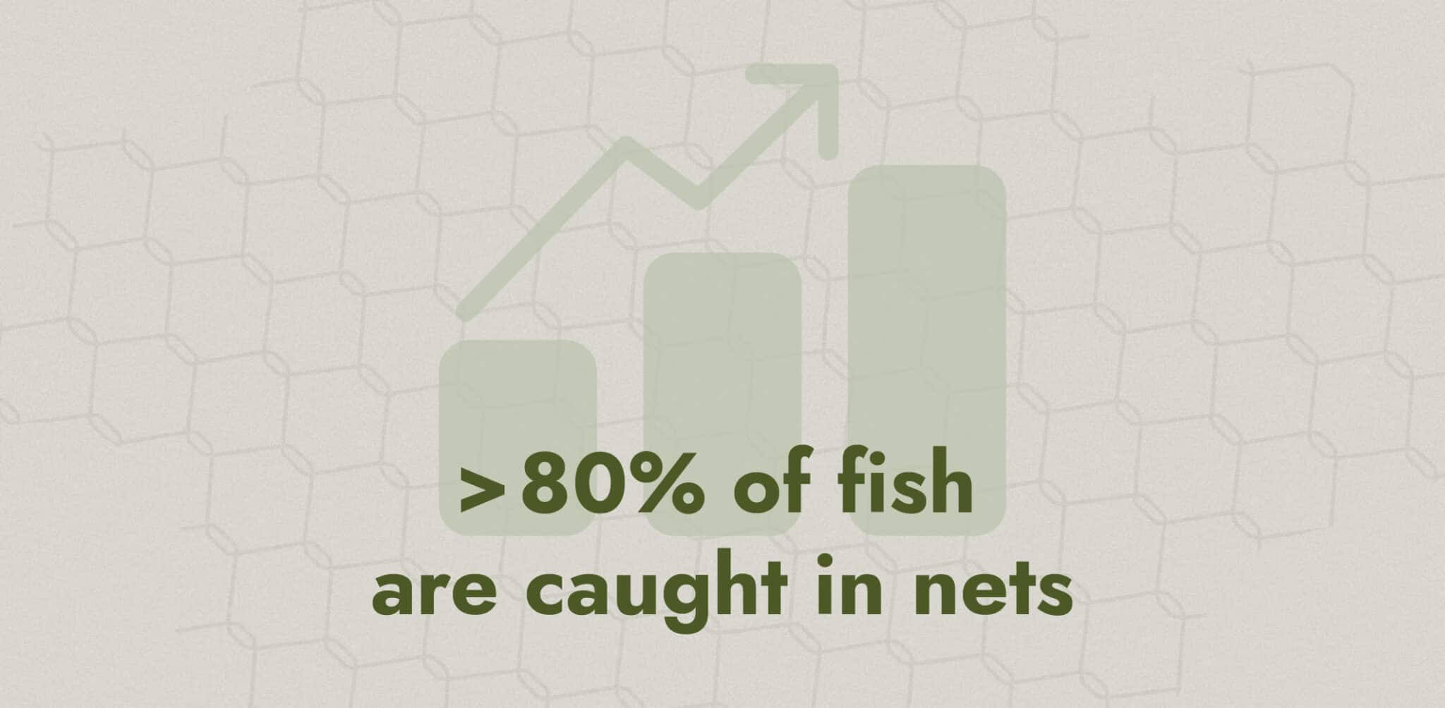 Overfishing Statistics And Facts: Negative Impacts