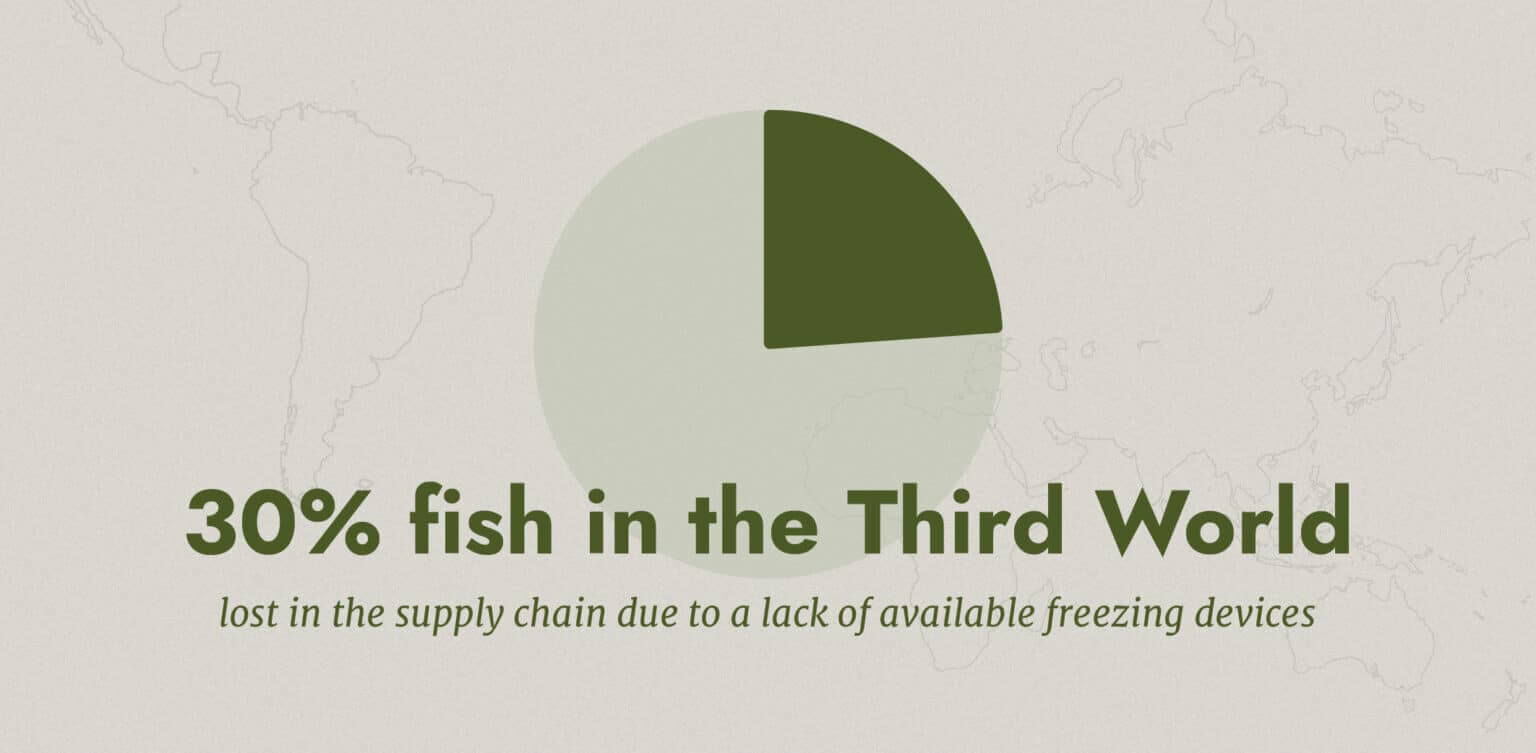 Overfishing Statistics: Data and Facts | GreenStories